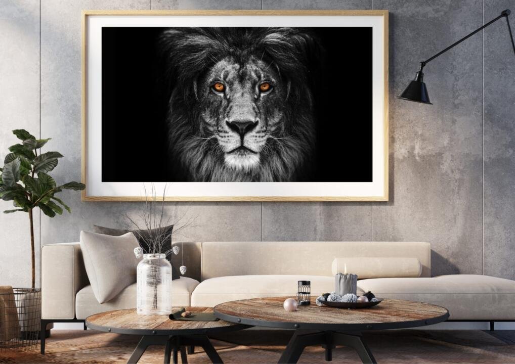 Lejon Poster – DinPosters.se